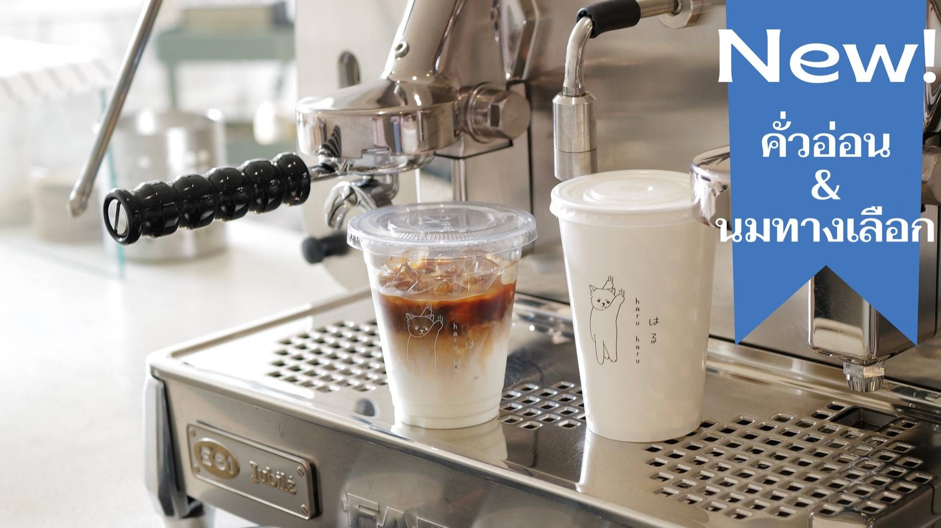 Haru Haru Cafe - สั่งอาหารเดลิเวอรี | Wongnai x LINE MAN