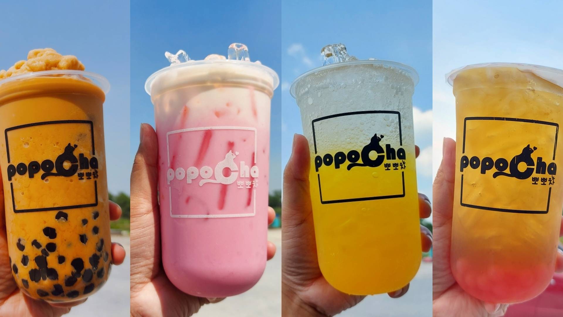 ร้าน PoPoCHA โปโปชานมไข่มุก | รีวิวร้านอาหาร - Wongnai