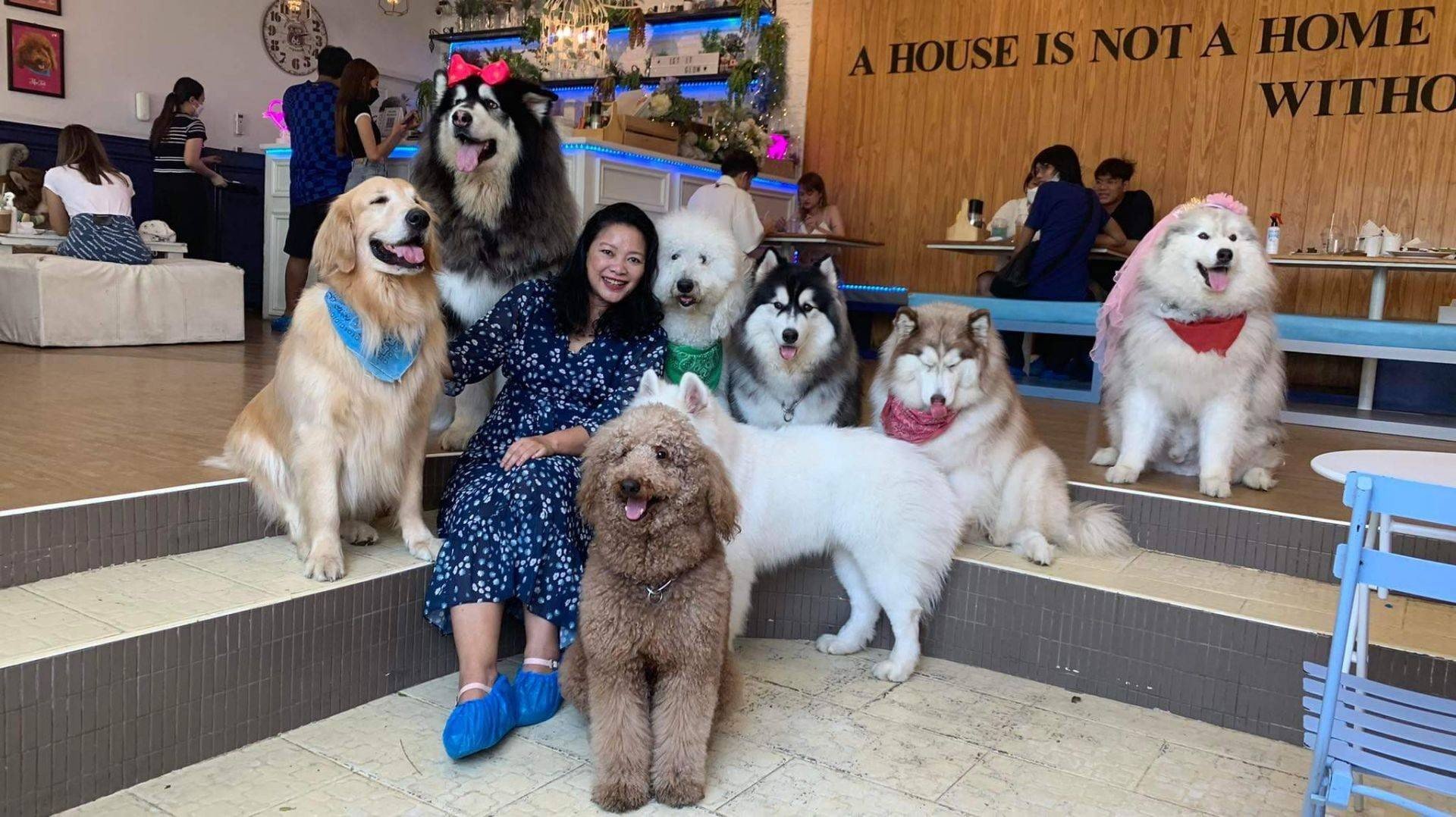 รูป Husky House Cafe บางแสน - Wongnai