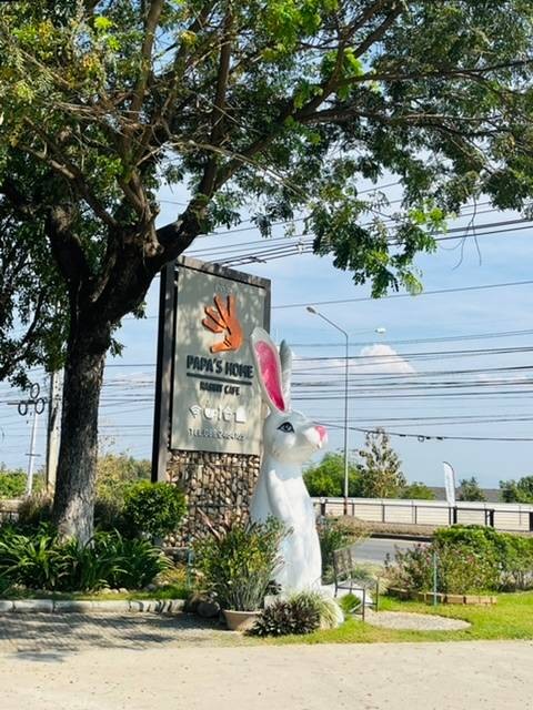 รูป Papa'home Rabbit Cafè