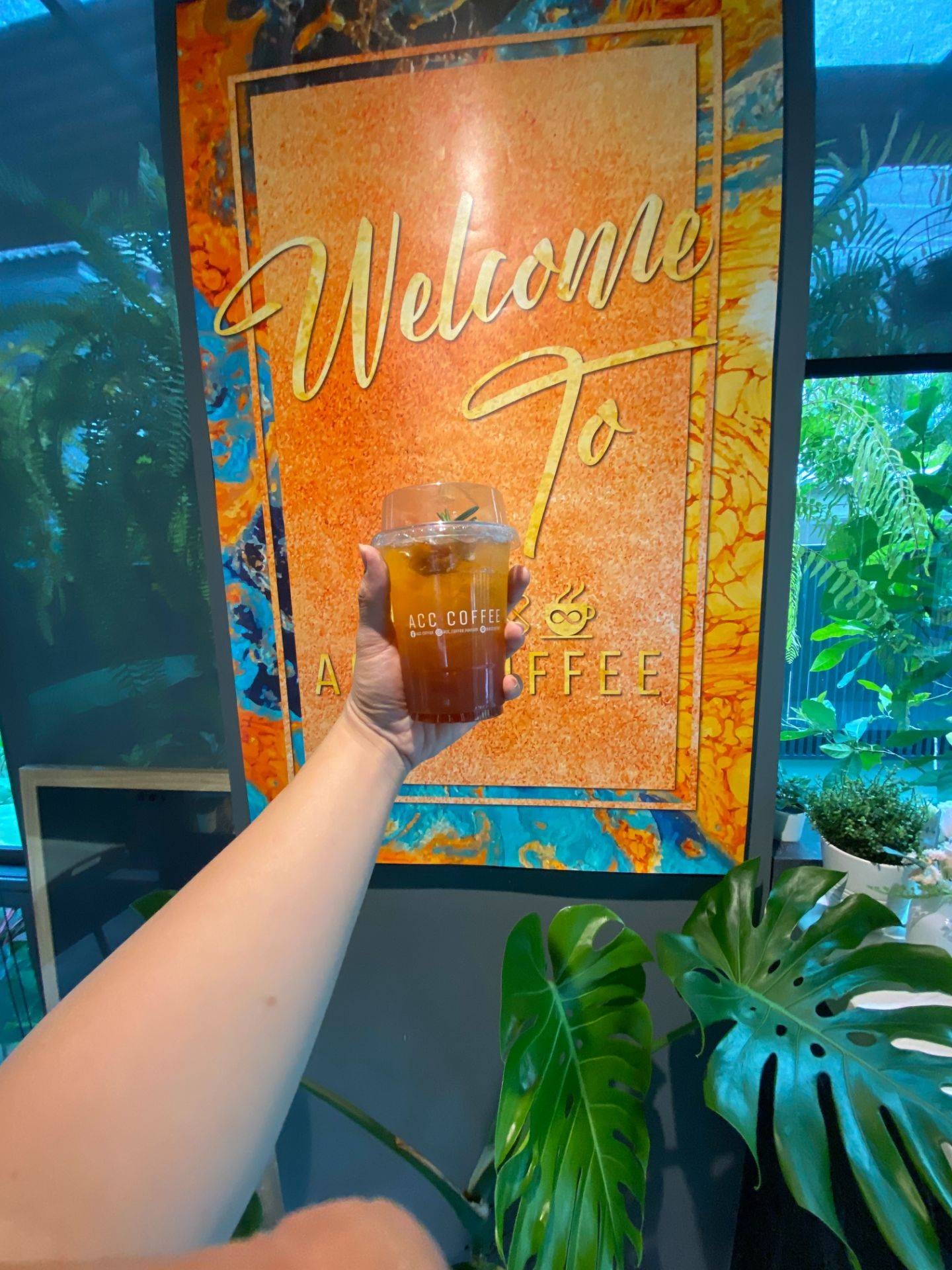 รีวิว Acc Coffee - ชาบ๊วย เปรี้ยวๆหวานๆเค็ม อูมามิ มากๆ