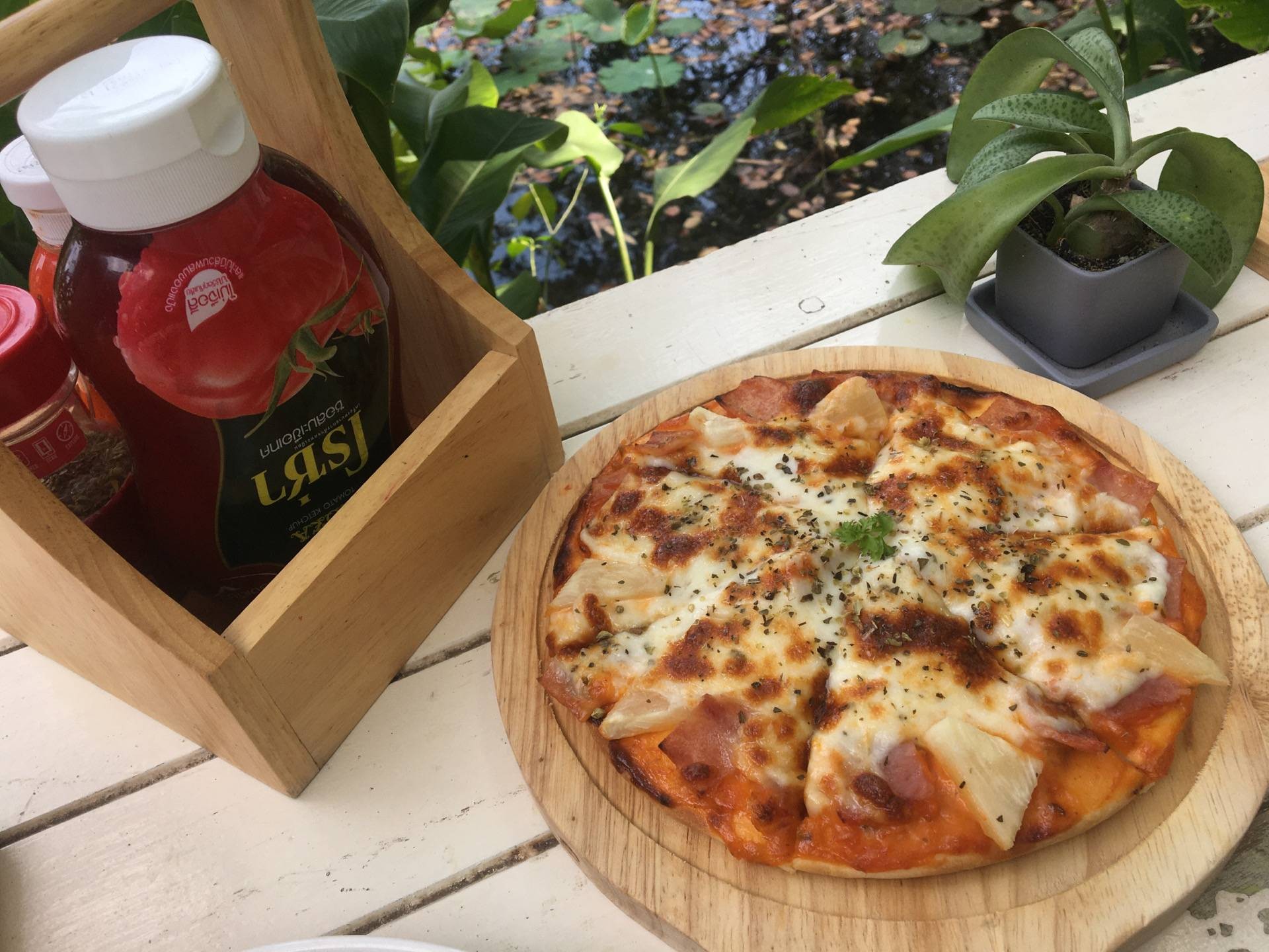 10 คาเฟ่บางพระ จะถ่ายรูปก็เลิศ จะกินดื่มก็ดี มาถึงทั้งทีจะพลาดได้ยังไง