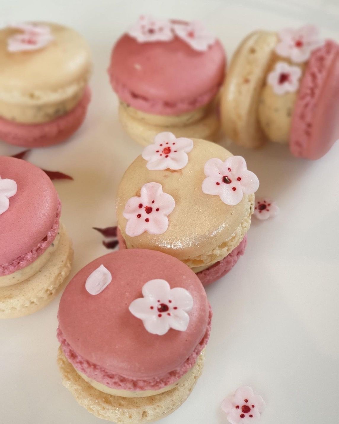 Sakura • image ร้าน Ronnies macaron @Siam Center Siam Center