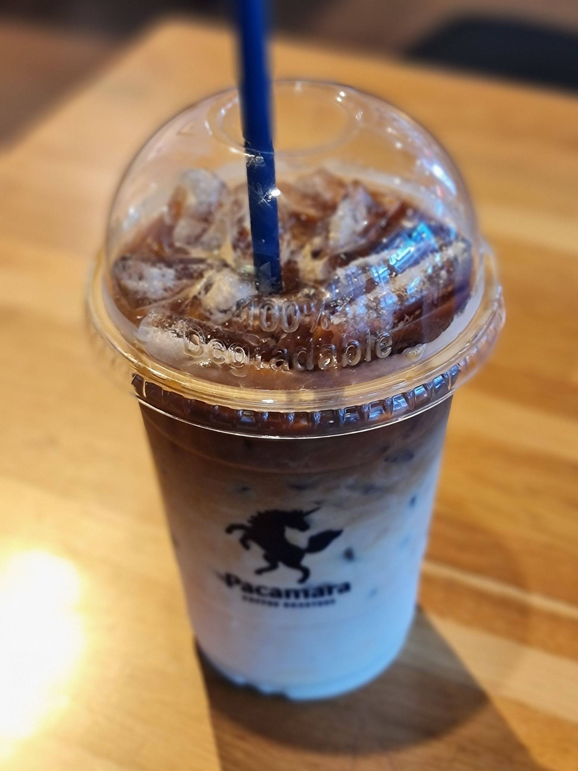 ลาเต้เย็น ร้าน PACAMARA หอสมุดคณะแพทยศาสตร์ จุฬาลงกรณ์มหาวิทยาลัย