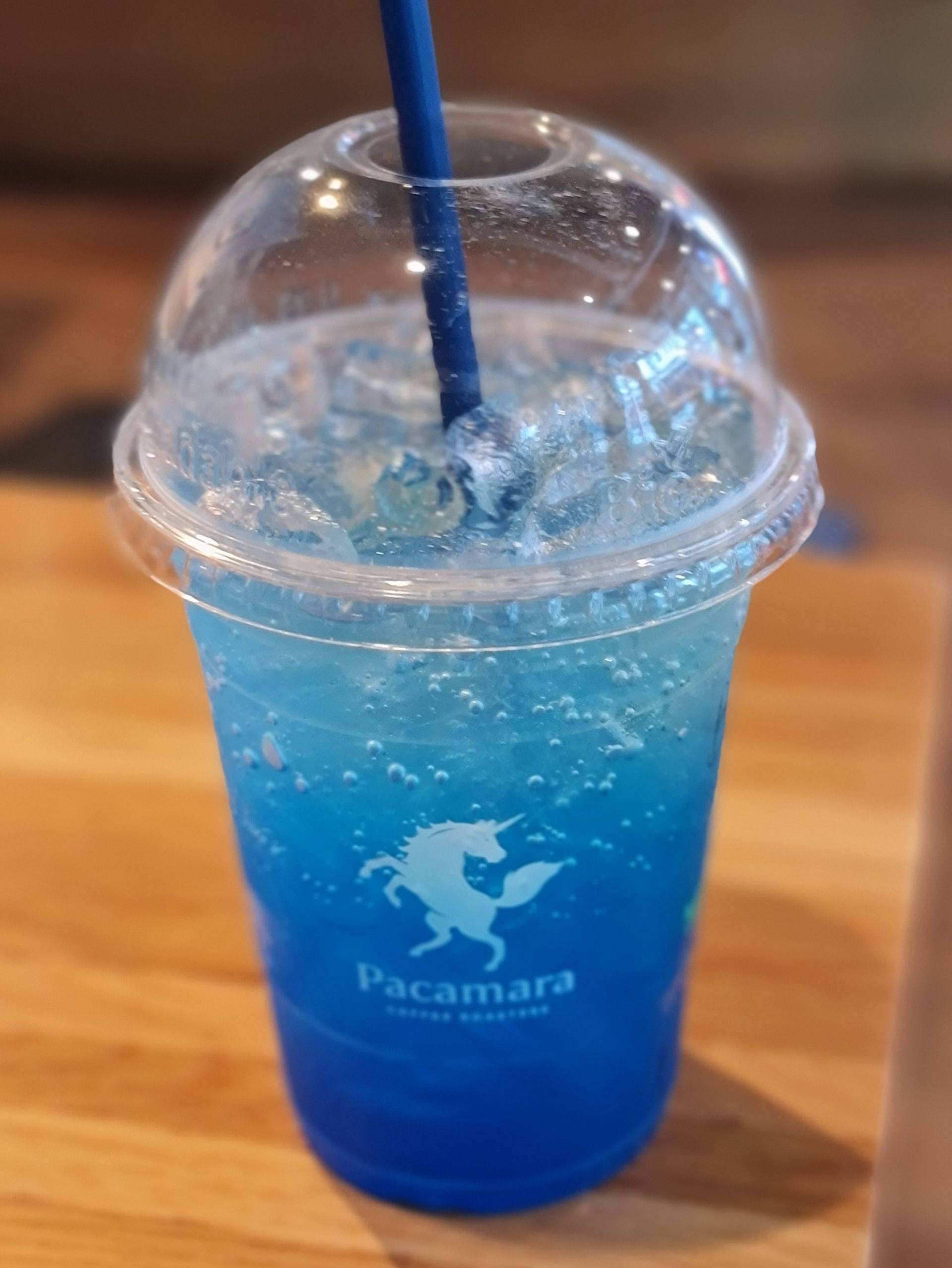 BLUE CURACAO SODA ร้าน PACAMARA หอสมุดคณะแพทยศาสตร์ จุฬาลงกรณ์มหาวิทยาลัย