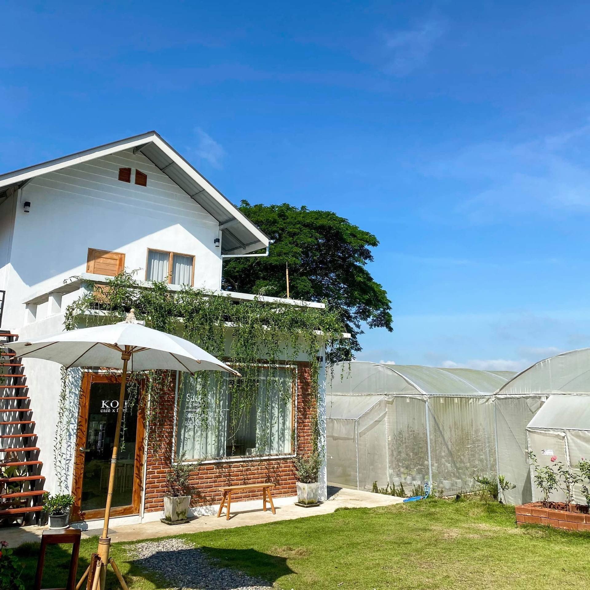 รีวิว Koji cafe x farm โคจิ คาเฟ่ - คาเฟ่เล็กๆหลบอยู่หลังบ้าน