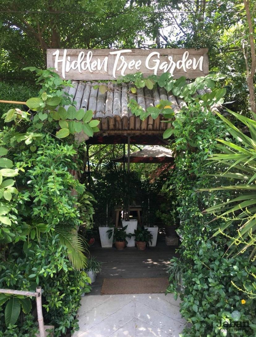 รีวิว Hidden Tree Garden Specialty Coffee - 🦦คาเฟ่ลับ บรรยากาศในสวน