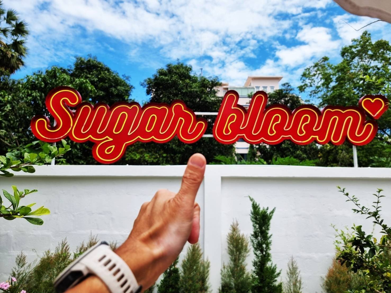 รูป Sugar Bloom หัวหิน