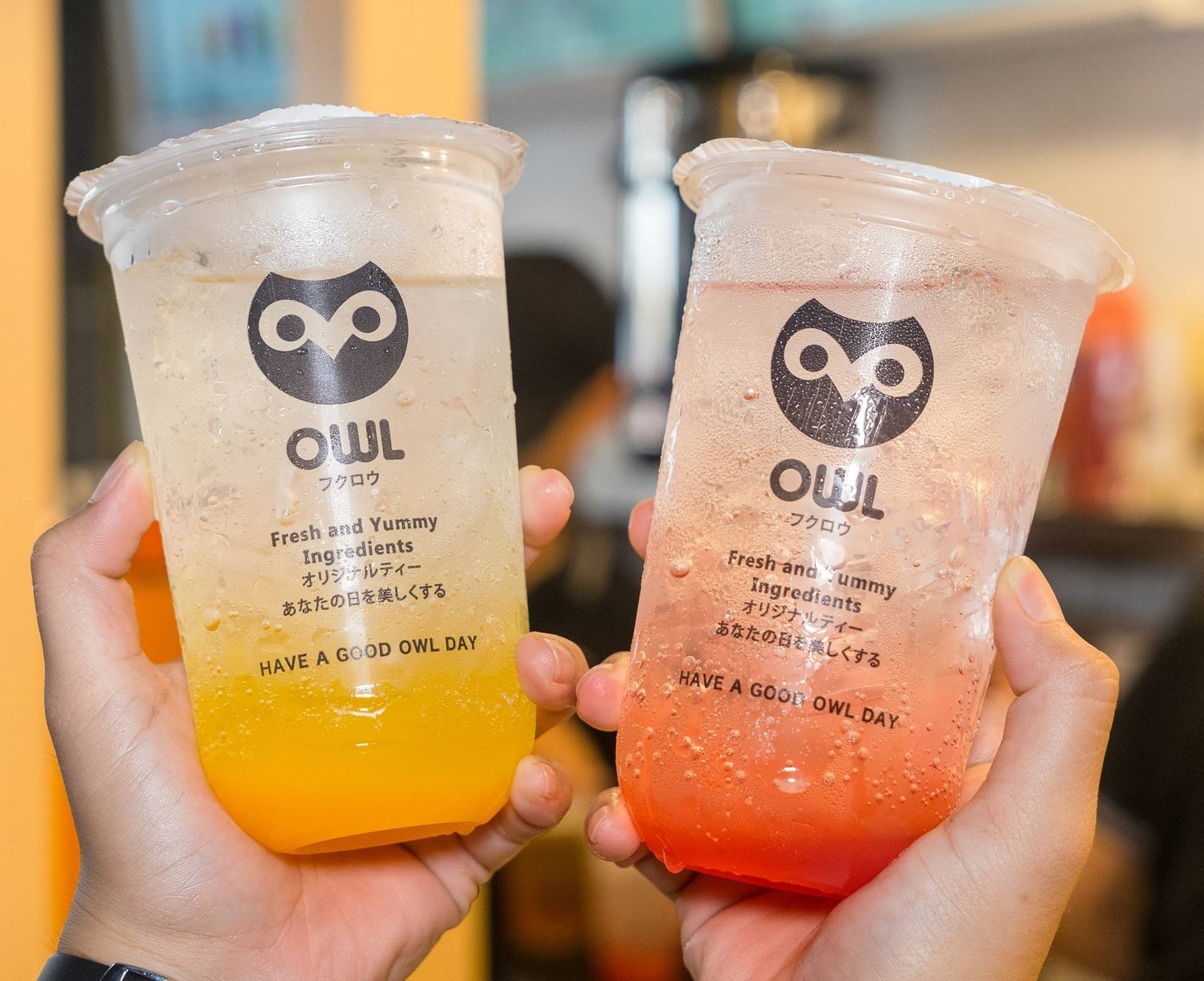 OWL CHA สาขา ตลาดยิ่งเจริญ - สั่งอาหารเดลิเวอรี | Wongnai x LINE MAN