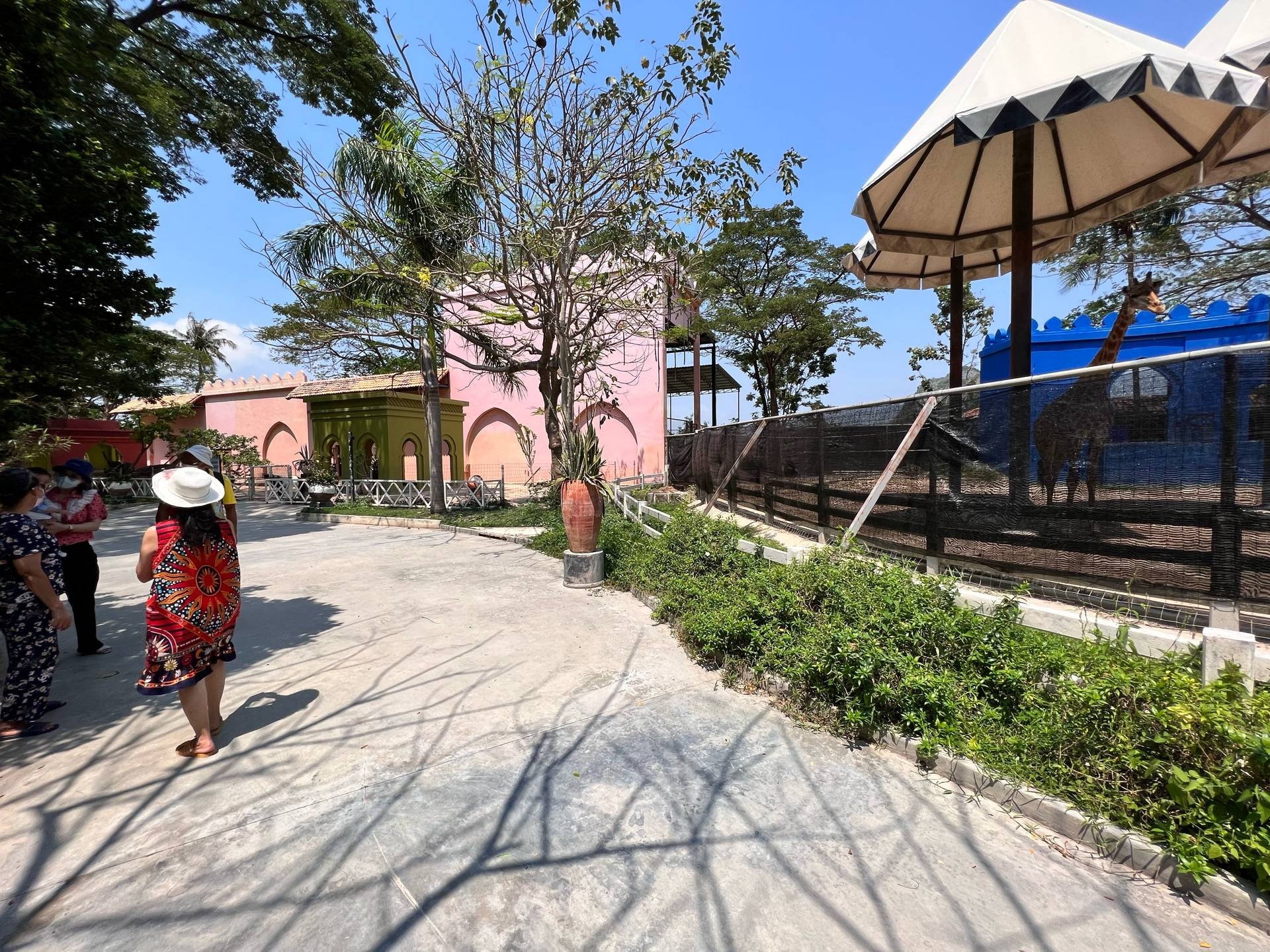 รูป Camel Republic