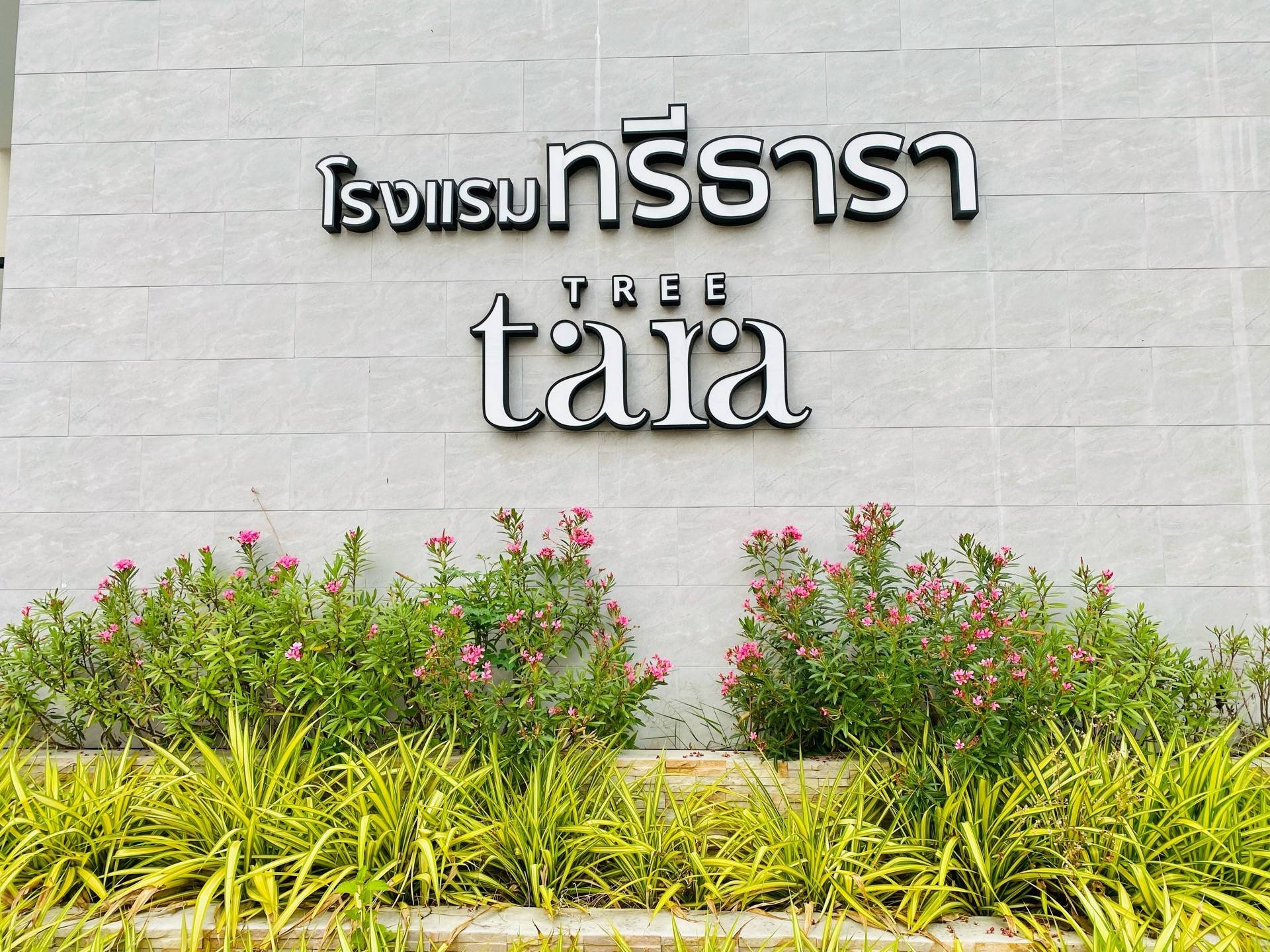 รูป โรงแรมทรีธารา ( Tree Tara Hotel x Tara Onsen)