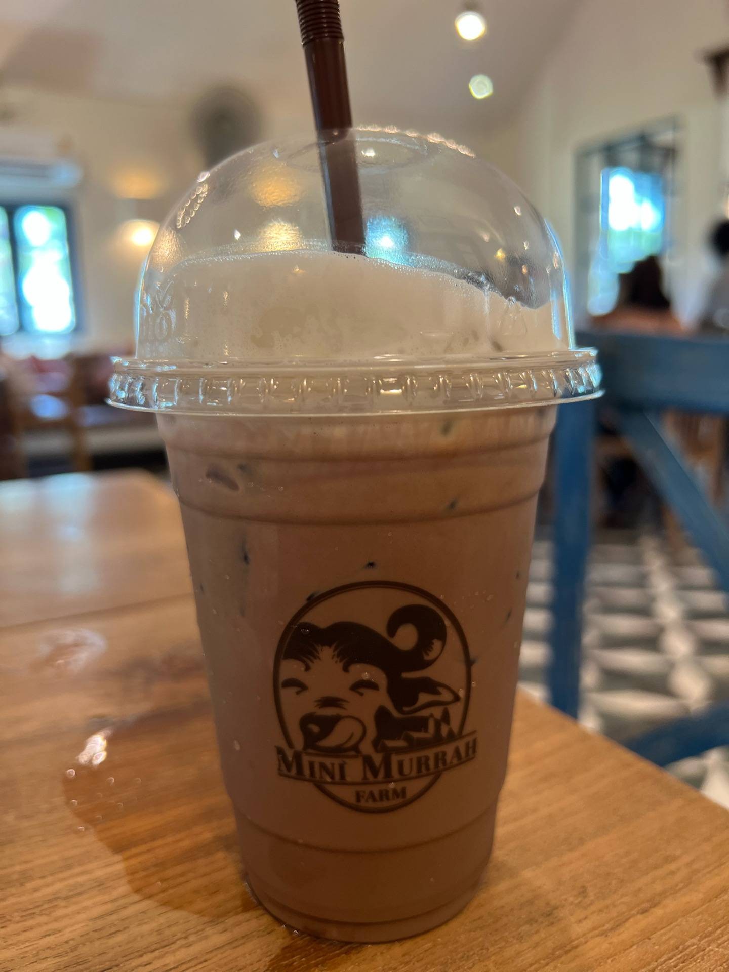 รูป Mini Murrah Farm ดอนทราย, บ้านโพธิ์ - Wongnai