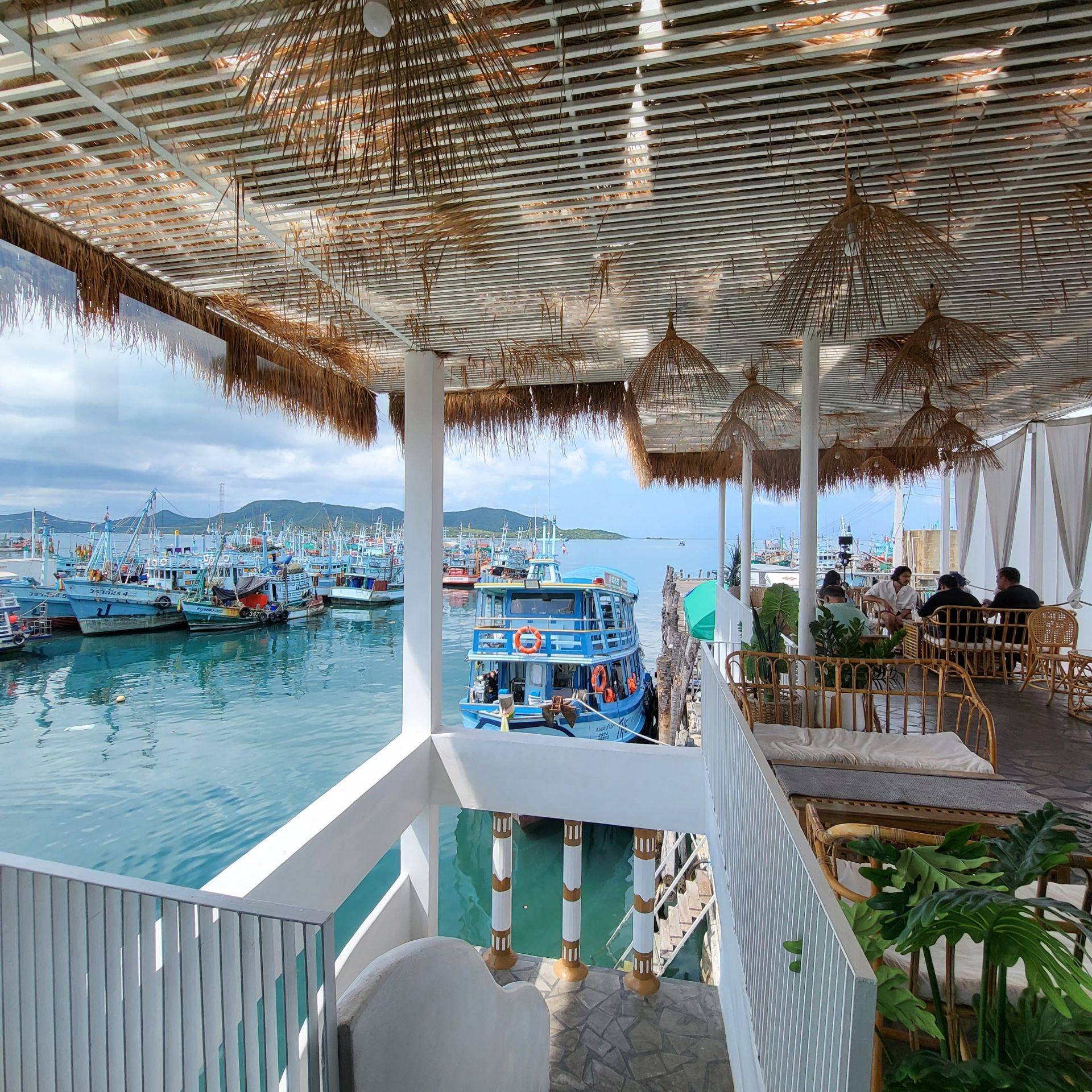 รูป The shark cafe