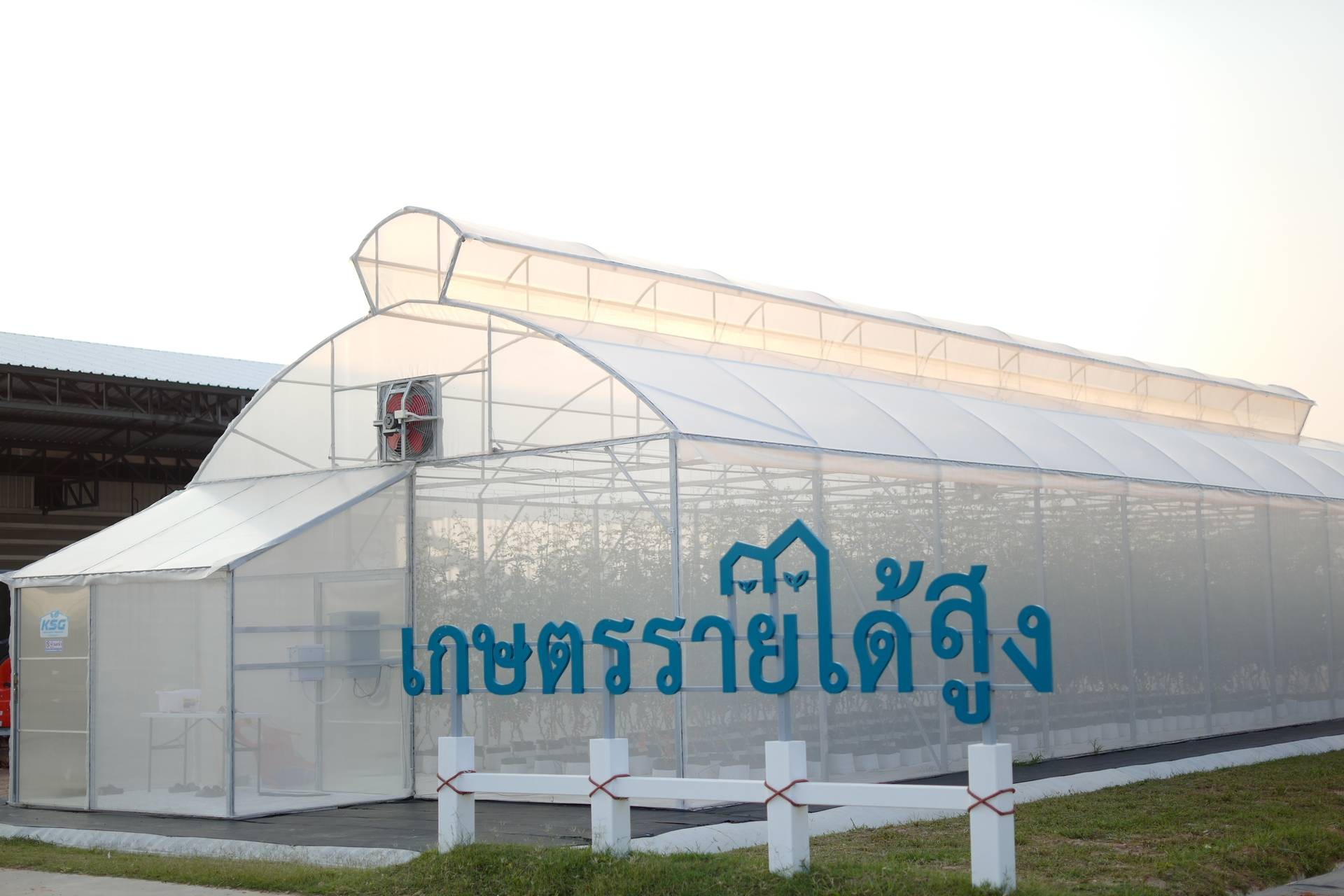 รูป NANA FARM