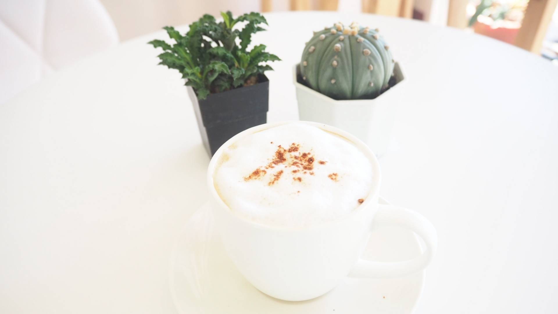 ร้าน Lalada café | รีวิวร้านอาหาร