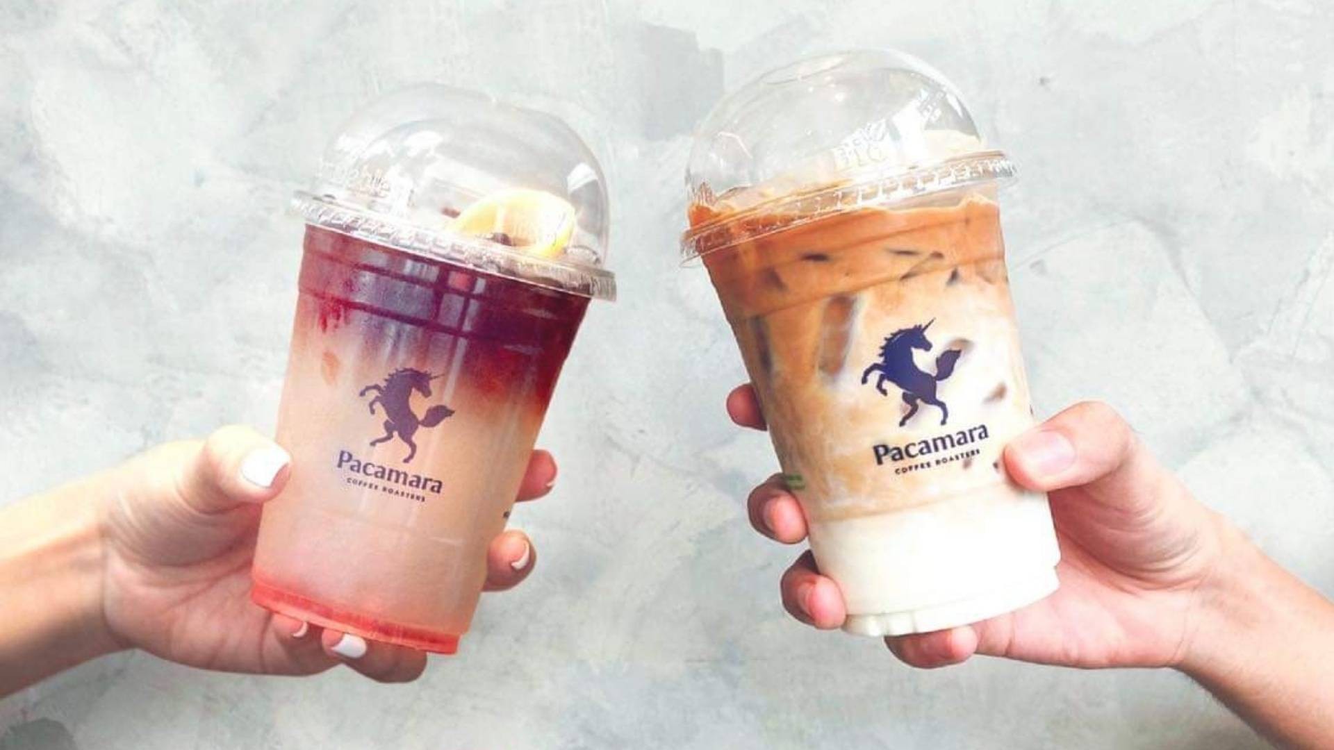 PACAMARA เซ็นทรัล พระราม2 - สั่งอาหารเดลิเวอรี | Wongnai x LINE MAN