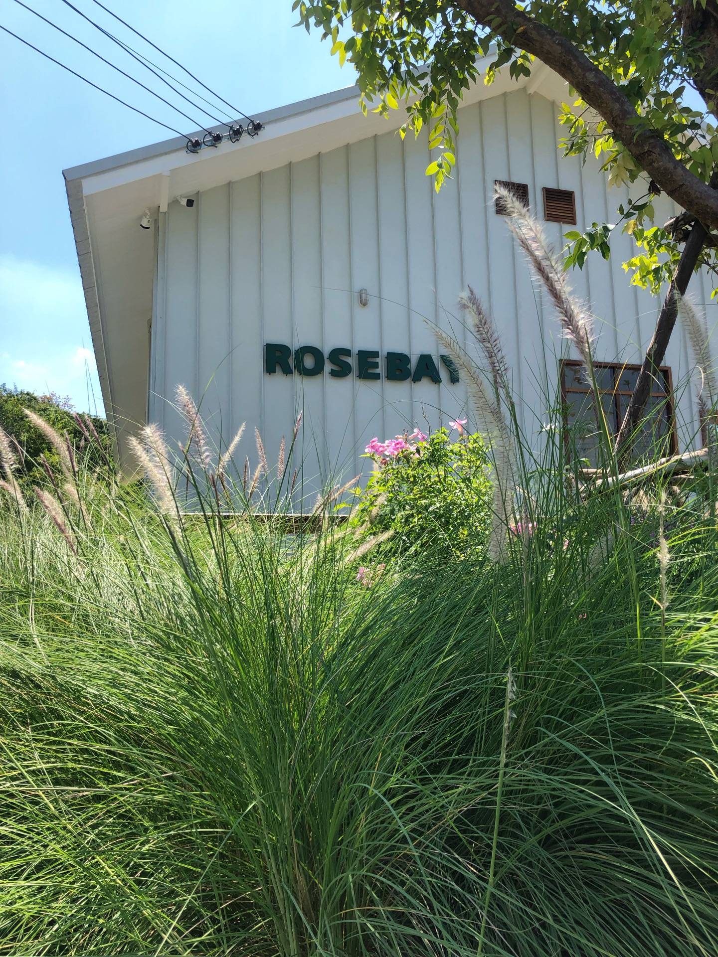 รีวิว Rosebay Home cooking Café - คาเฟ่ & ร้านอาหารเขาใหญ่ เปิดใหม่ มินิม้อน