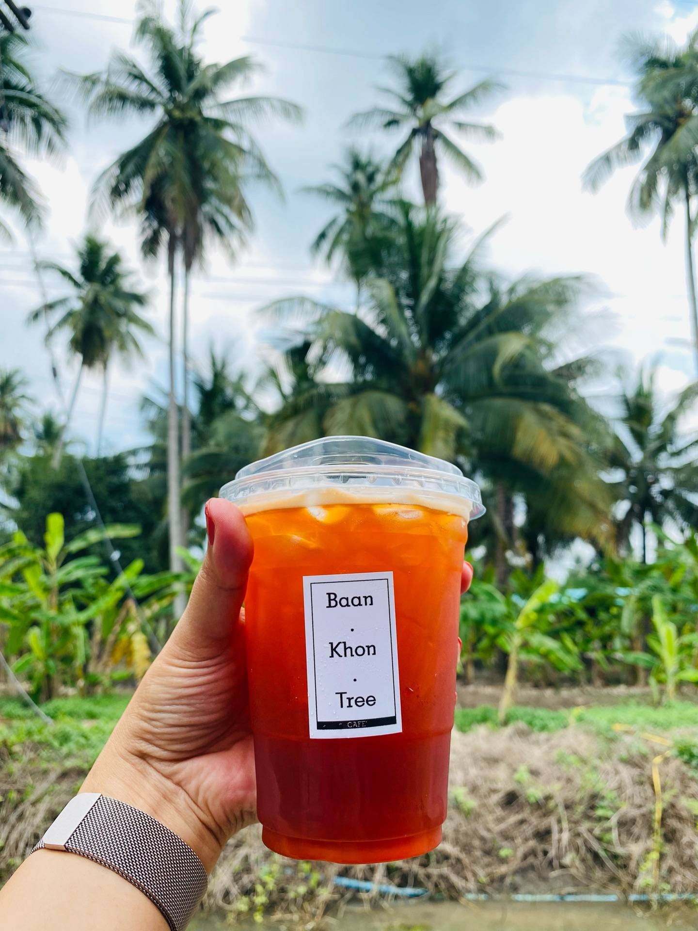 ร้าน Baan Khon Tree บ้านคนทรี คาเฟ่ | รีวิวร้านอาหาร - Wongnai