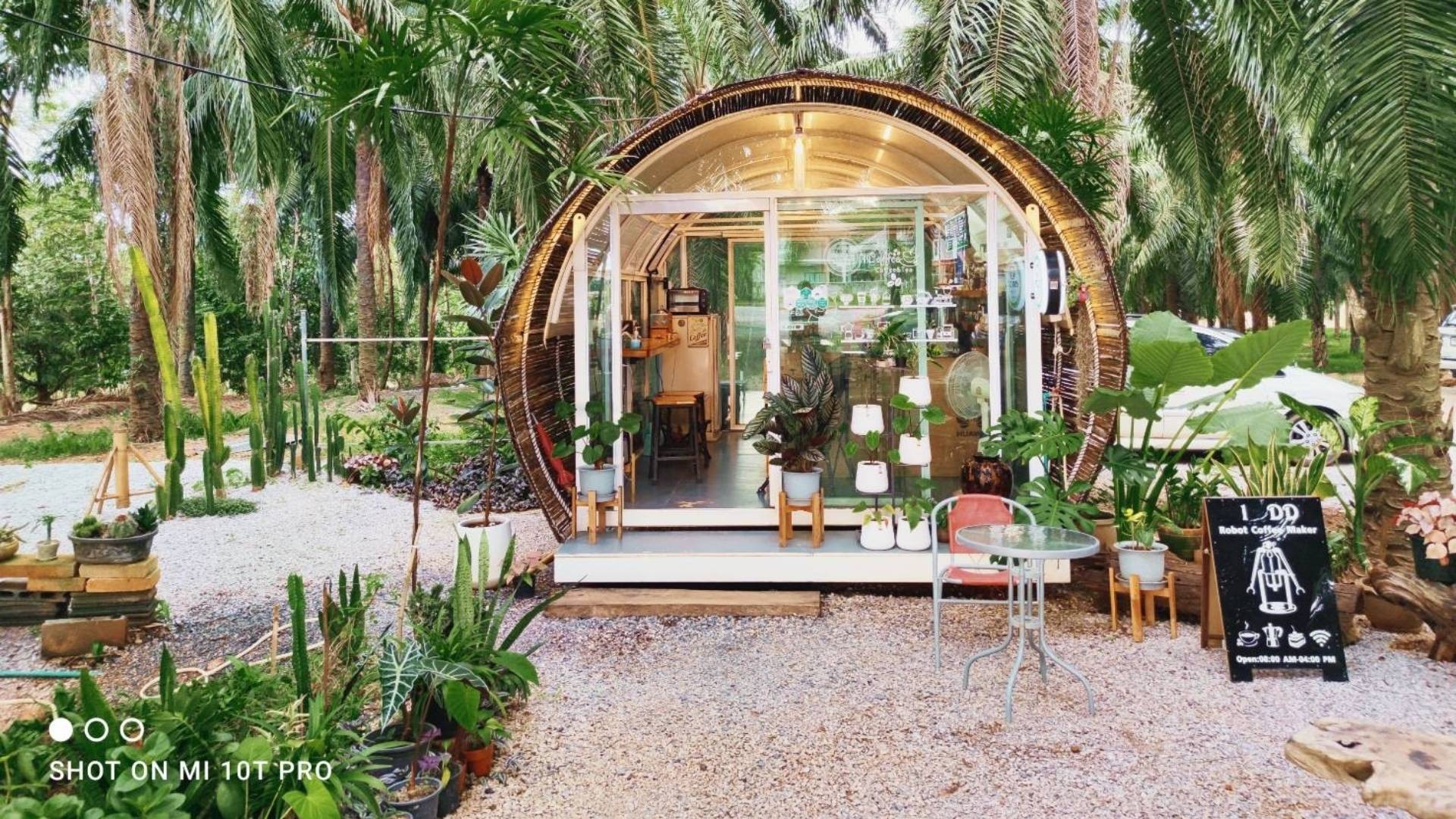 1 DD Cafe - สั่งอาหารเดลิเวอรี | Wongnai x LINE MAN