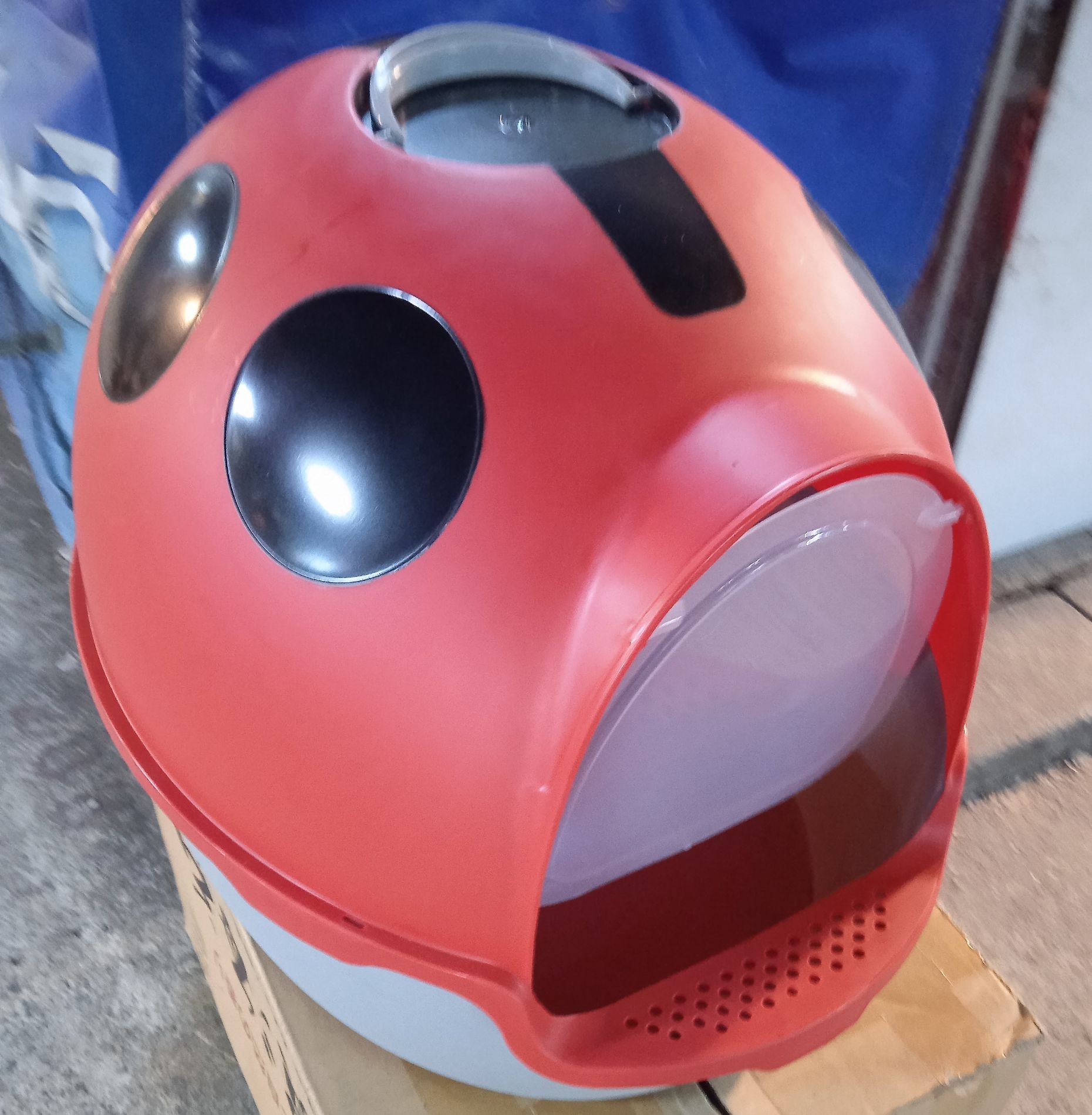 ร้าน Lee Pet shop ตลาดนกฮูก