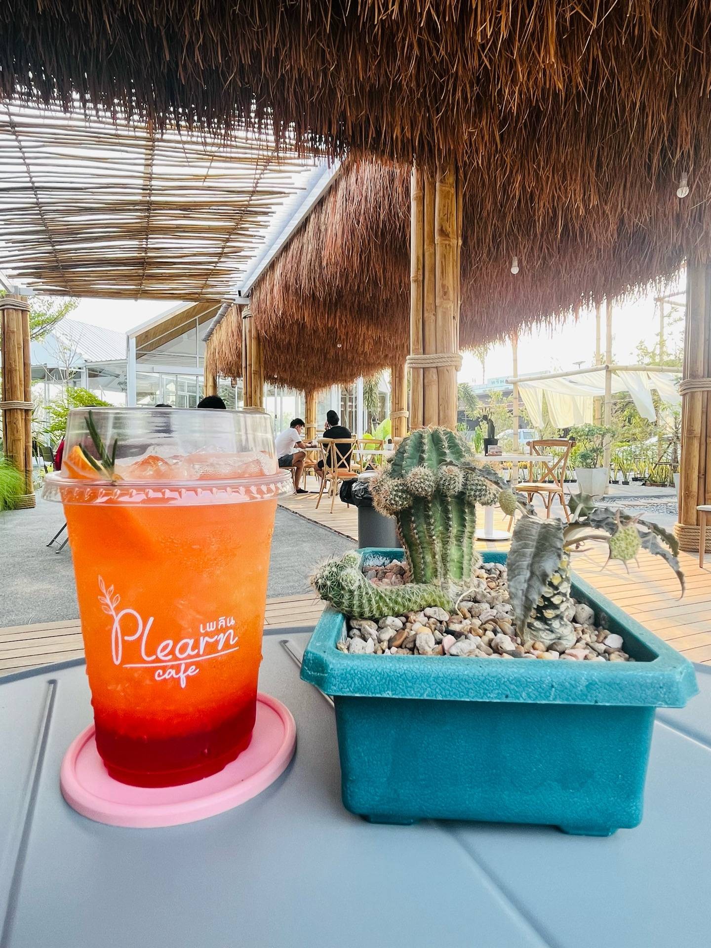 รีวิว Plearn Cafe Bangpu - เพลิน คาเฟ่ บางปู บางปู - Plearn Cafe 👍🏻☕️🍰🧁 - Wongnai