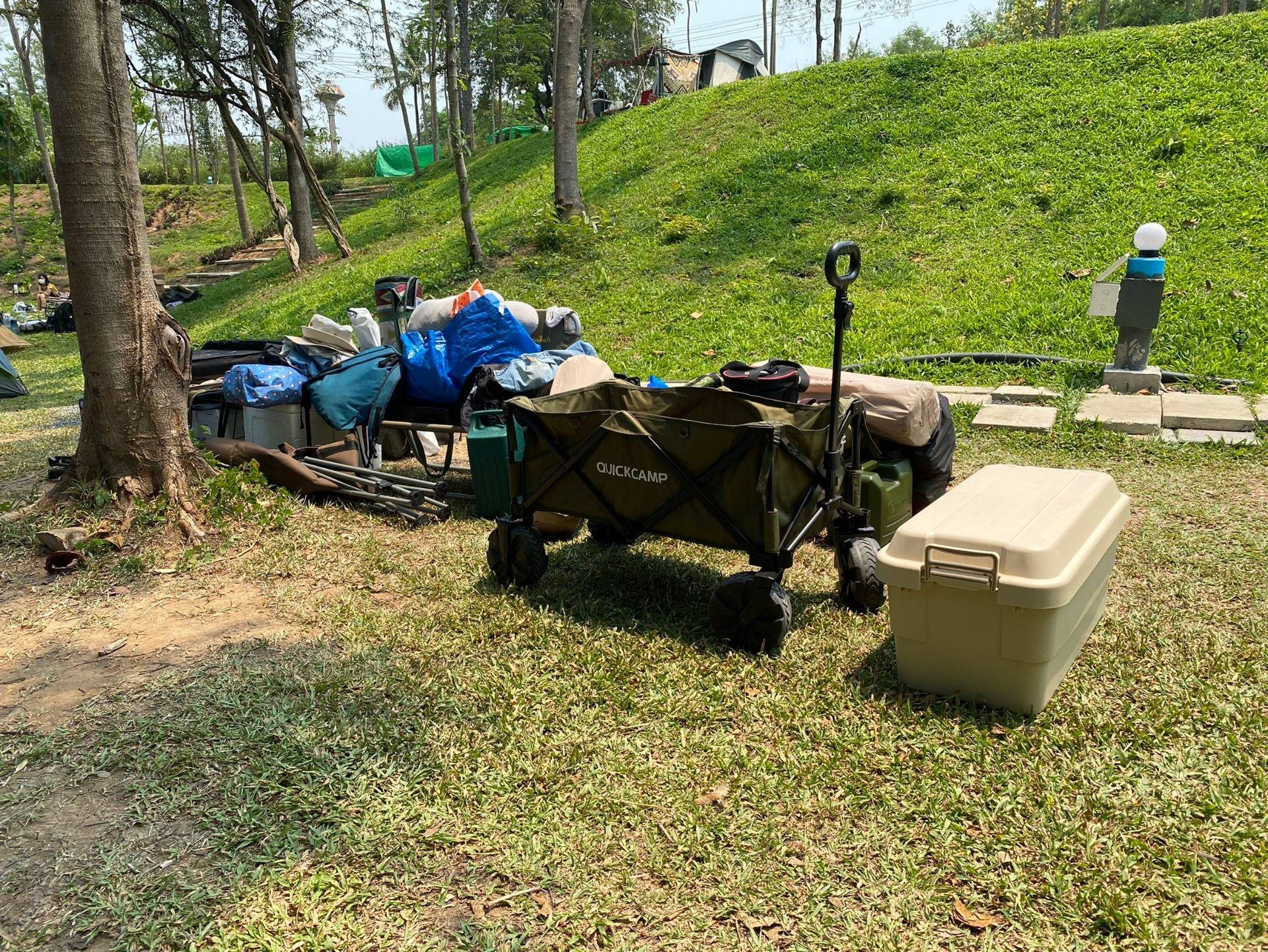 รูป ปลาวาฬหลงทาง Camp&café