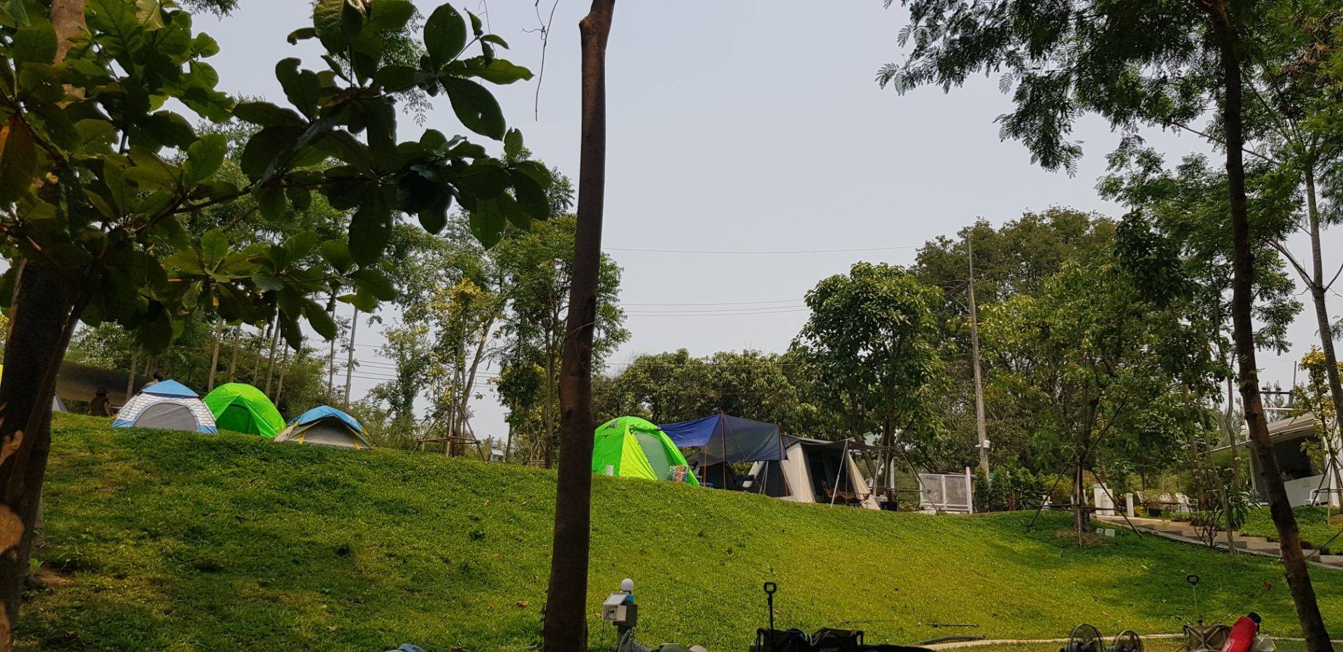 รูป ปลาวาฬหลงทาง Camp&café