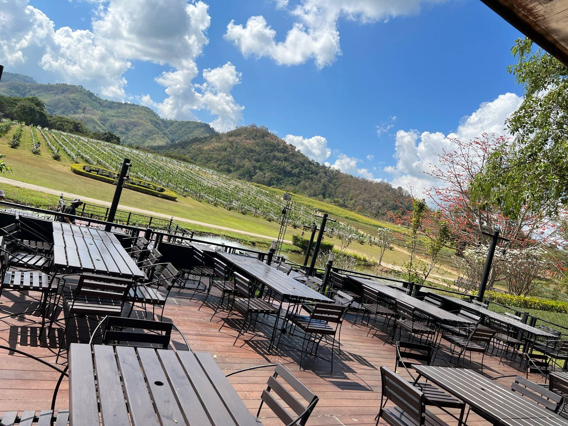 รูป PB Valley Khao Yai Winery