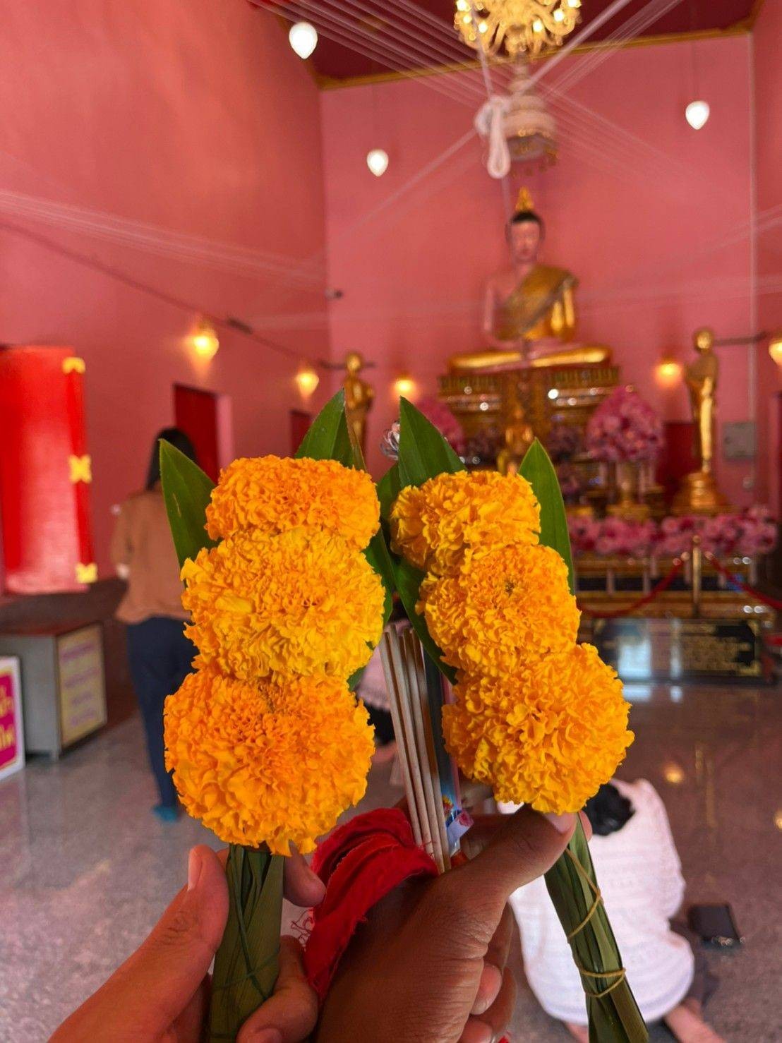 รูป วัดยางใหญ่ ตาพรานบุญ