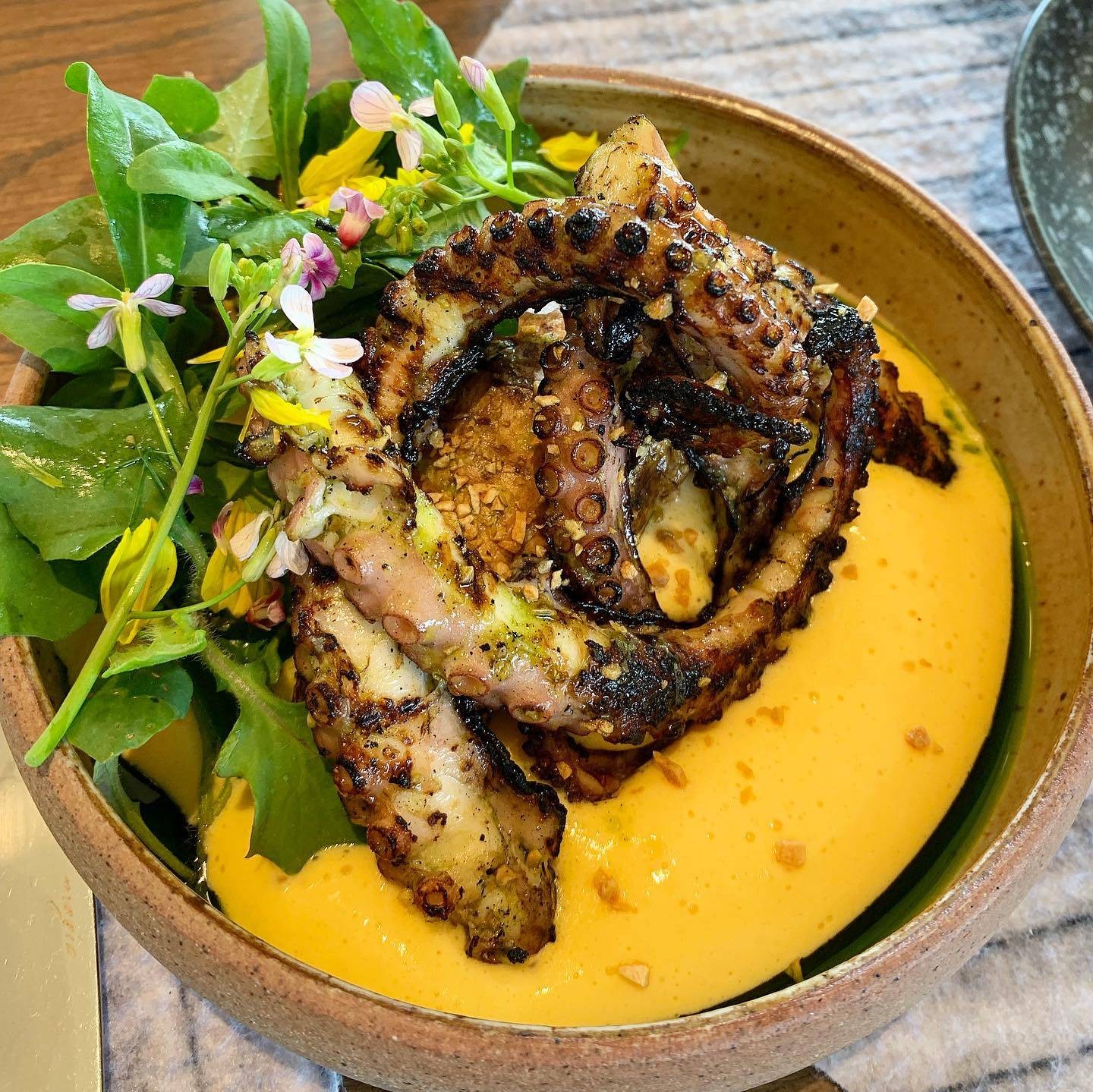 Octopus ร้าน Jampa Restaurant