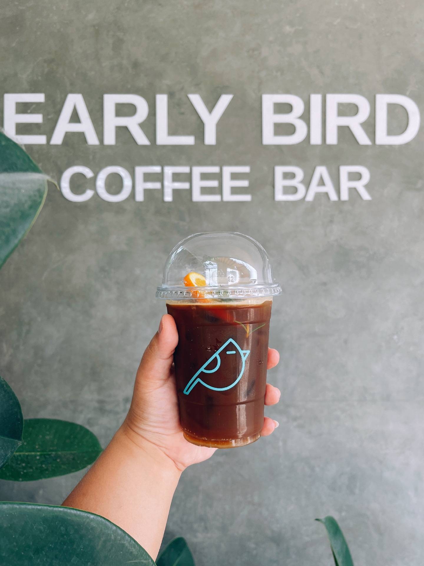 รูป Early Bird Coffee Roaster Rayong