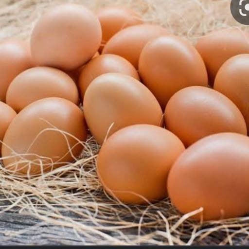 รีวิว Egg E Eggs เอ๊กกก (ไข่สดอนามัย) - ไข่สดมาก ไข่แดงสวยมากๆ