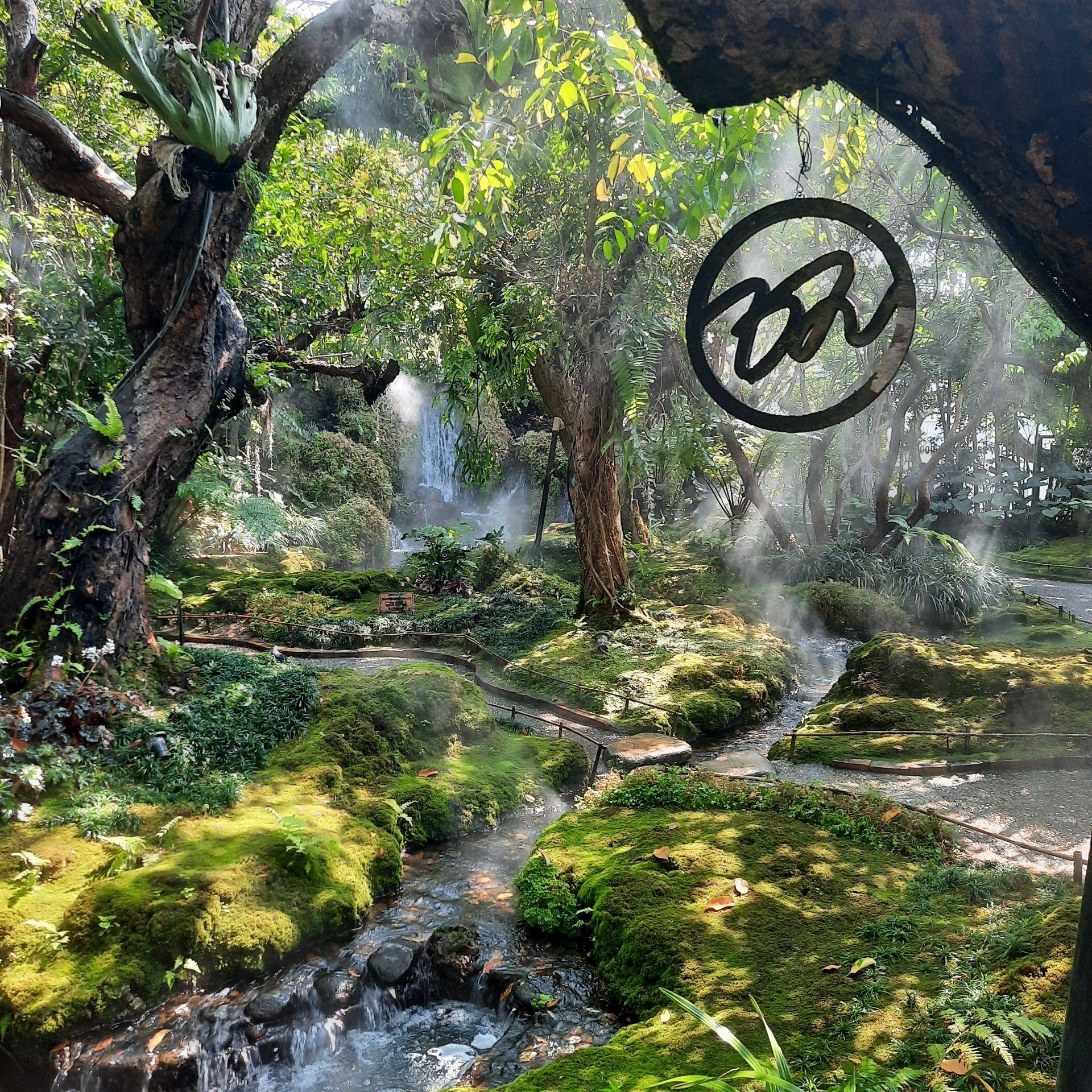 รีวิว CHOM Cafe & Restaurant - มา"ชม"สวนสวยกันเถอะ คาวหวาน กาแฟมีพร้อม ...