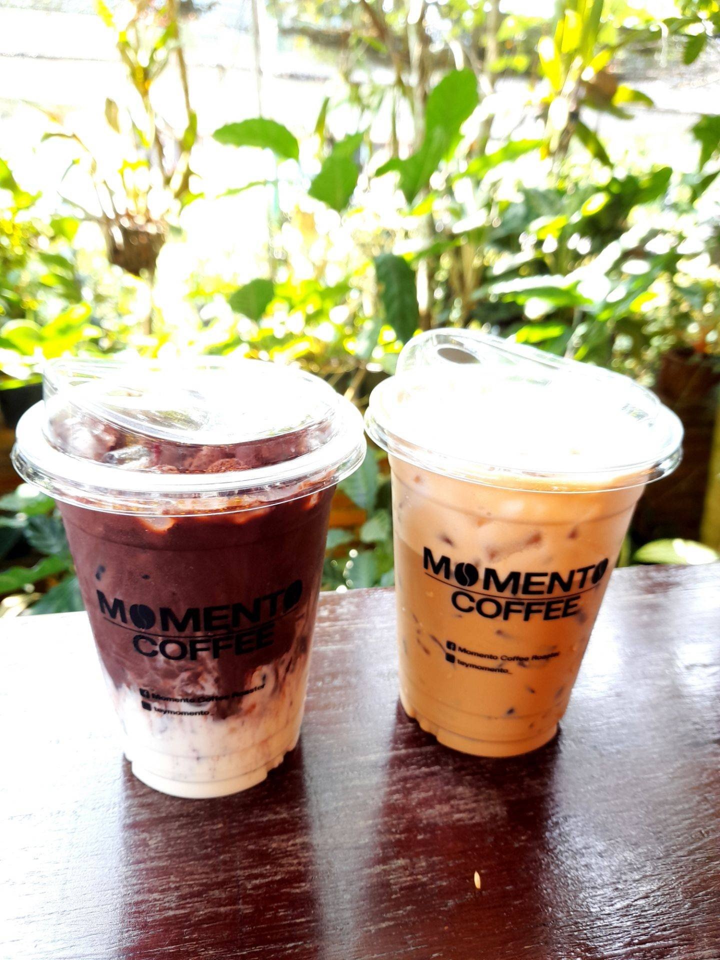 รีวิว Momento Coffee Roaster พะโต๊ะ - ร้านกาแฟลับ ๆ ที่ขับเลยไปแล้วต้อง ...