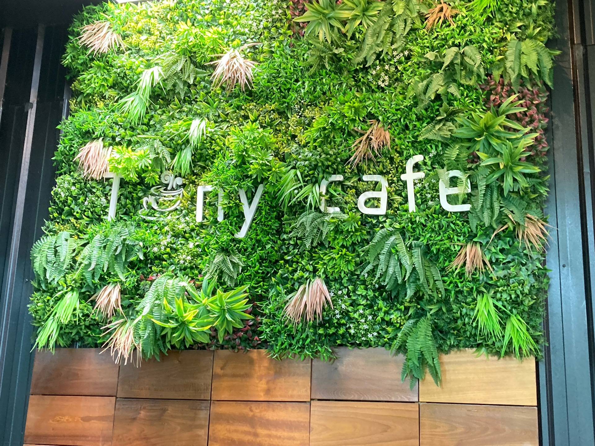 รูป The Tony Cafe (เดอะ โทนี่ คาเฟ่) - Wongnai