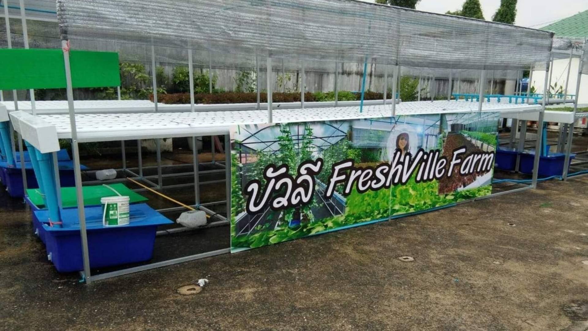 ร้าน บัวลี Freshville Farm นวมินทร์ 42 | รีวิวร้านอาหาร