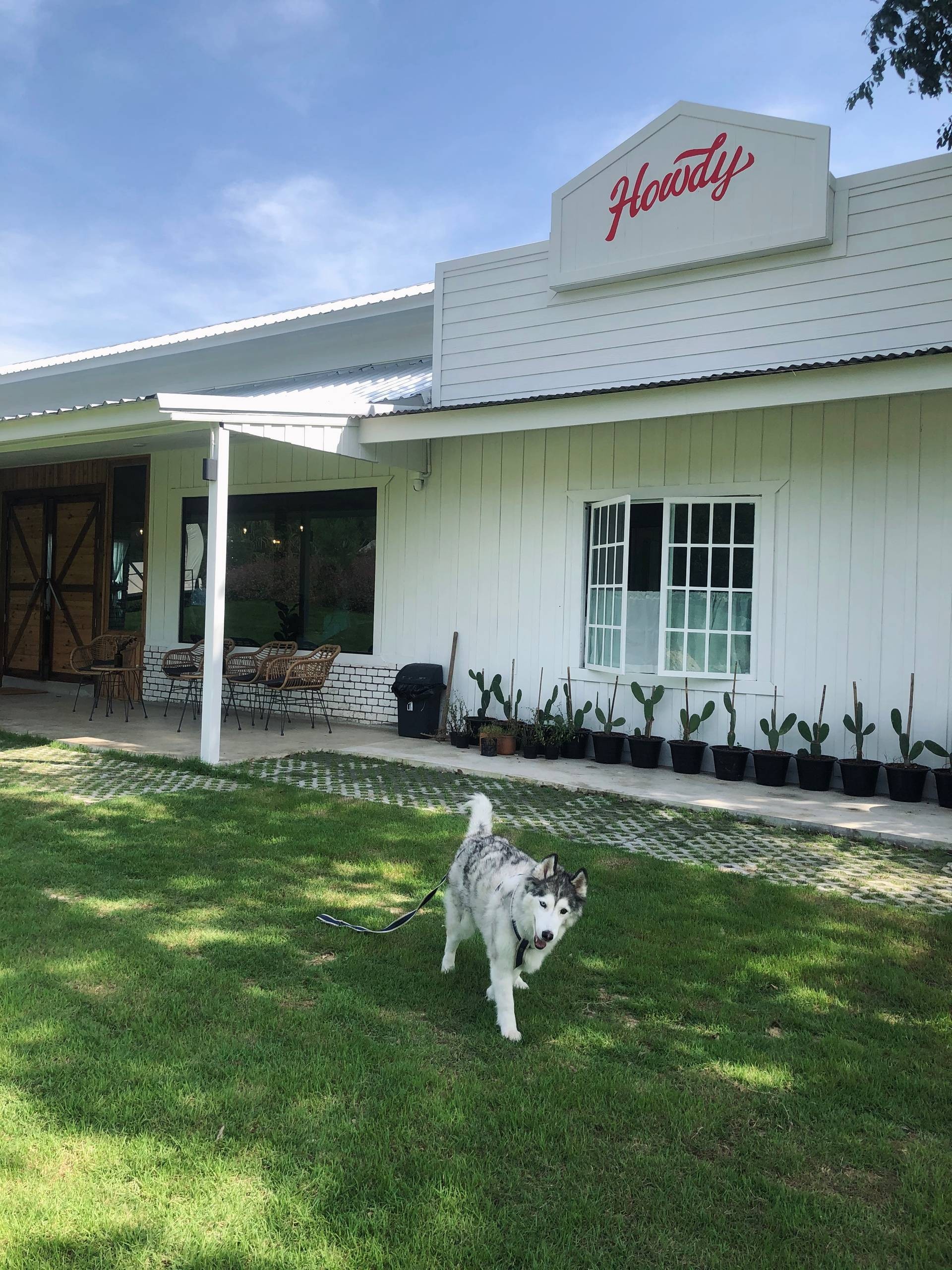 รูป Howdy Cafe&bistro