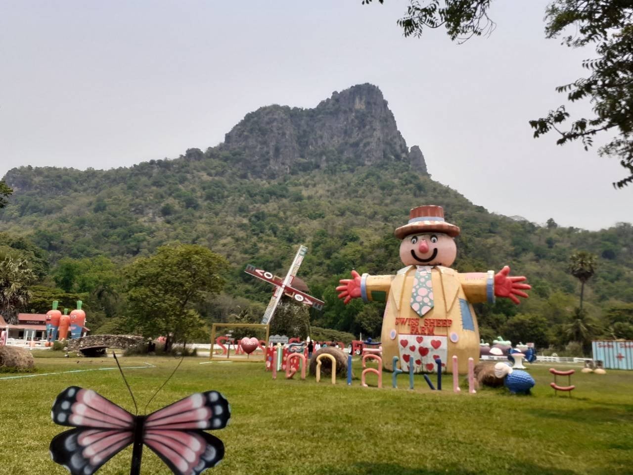 รูป Swiss Sheep Farm - Wongnai