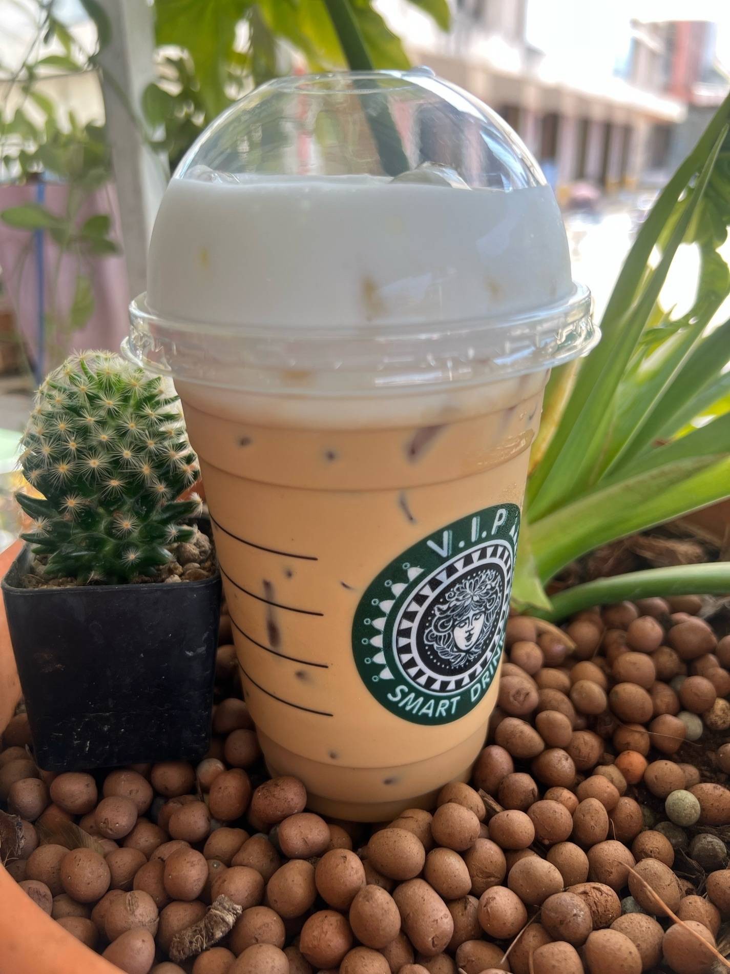 ร้าน FiFTH CAFE' ฟิฟ คาเฟ่ | รีวิวร้านอาหาร