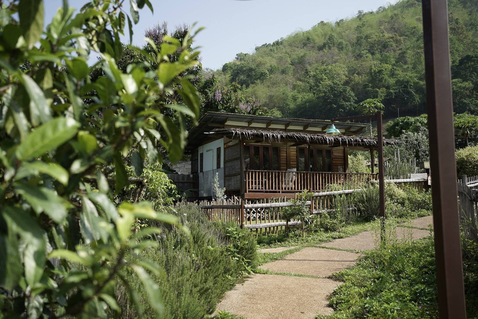 รีวิว Mori Natural Farm - จิบกาแฟ ชมวิวสวนสวยแถวแม่ริม - Wongnai