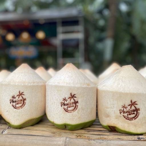 ร้าน Phaisarn farm น้ำ/เนื้อมะพร้าวน้ำหอมบ้านแพ้ว | รีวิวร้านอาหาร