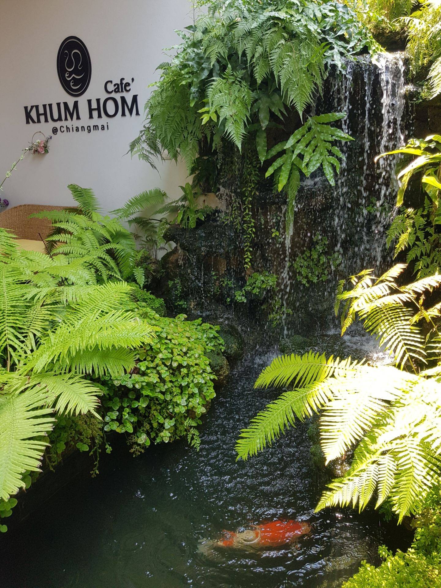 รีวิว คุ้มหอม คาเฟ่ - Khum Hom Cafe Chiangmai ศรีภูมิ - ร้านอาหาร ...