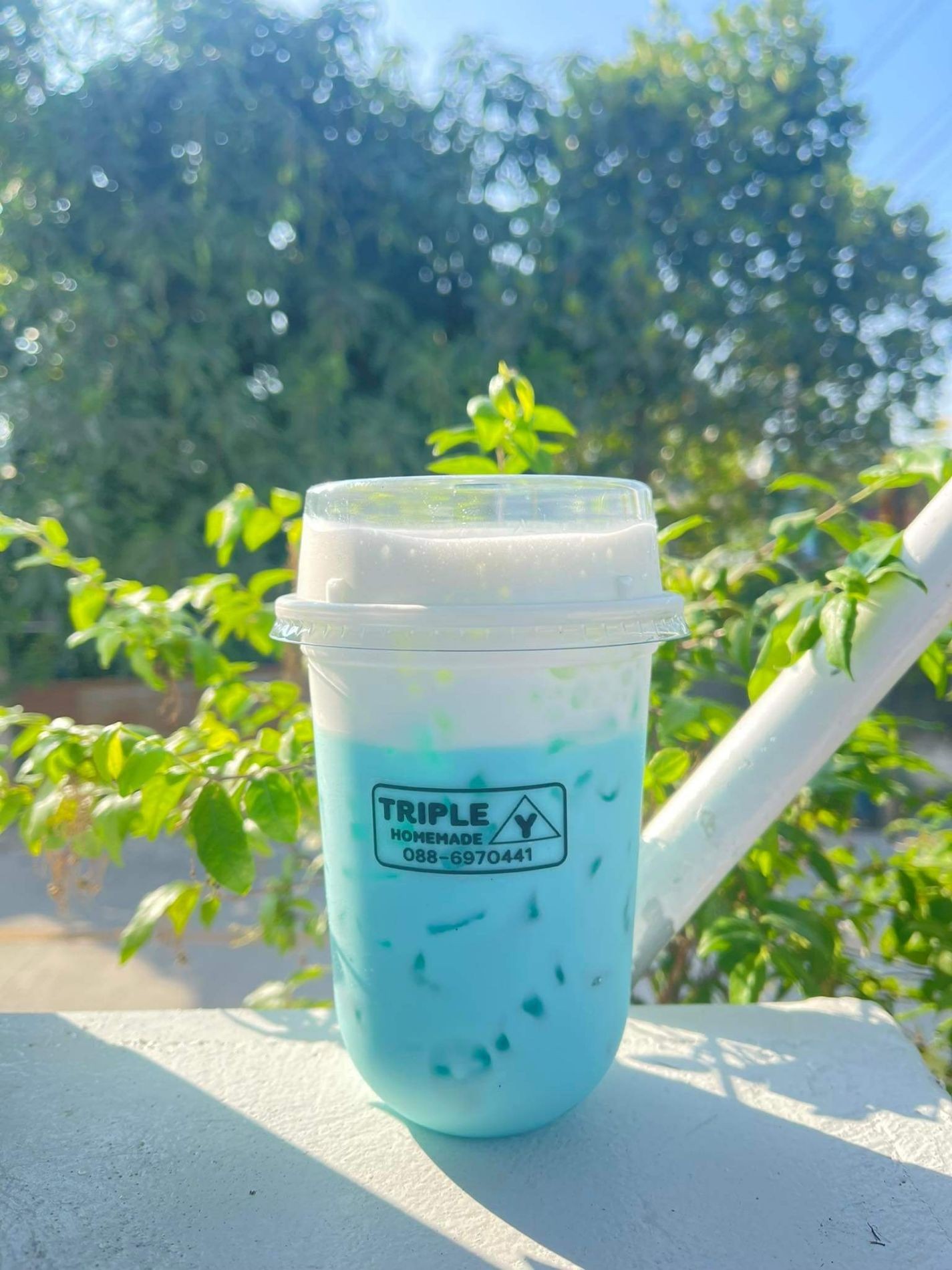 ร้าน TRIPLE Y | รีวิวร้านอาหาร