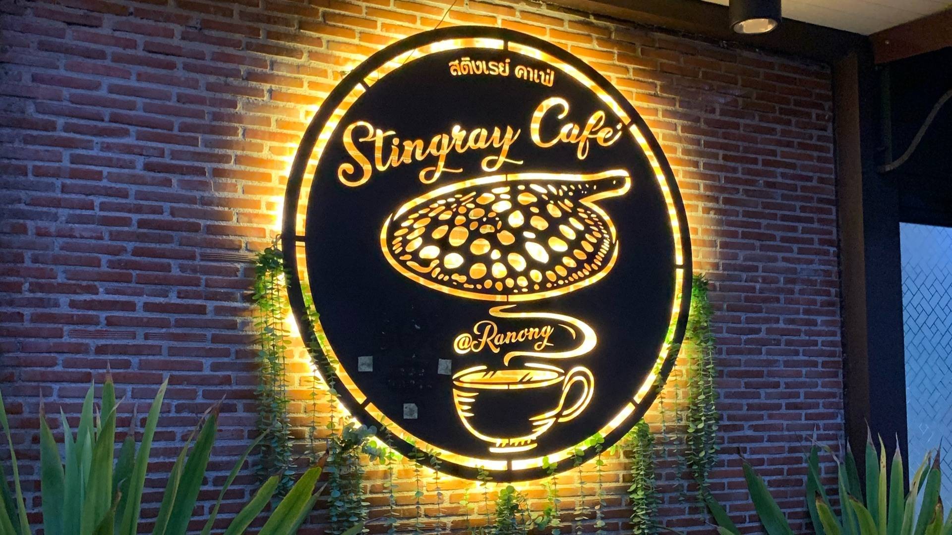 ร้าน Stingray cafe’ sapanpla | รีวิวร้านอาหาร - Wongnai