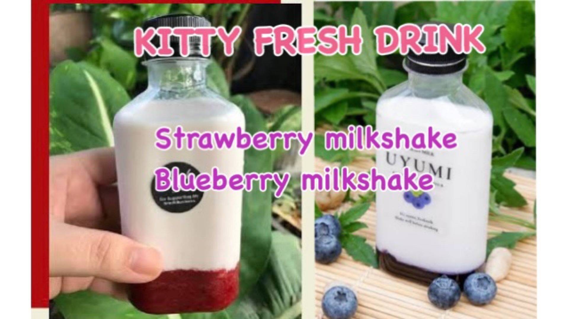 ร้าน Kitty Fresh Drink | รีวิวร้านอาหาร