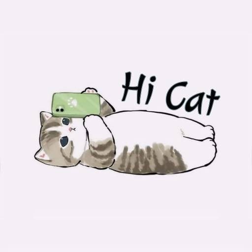 ร้าน Hi cat - Wongnai