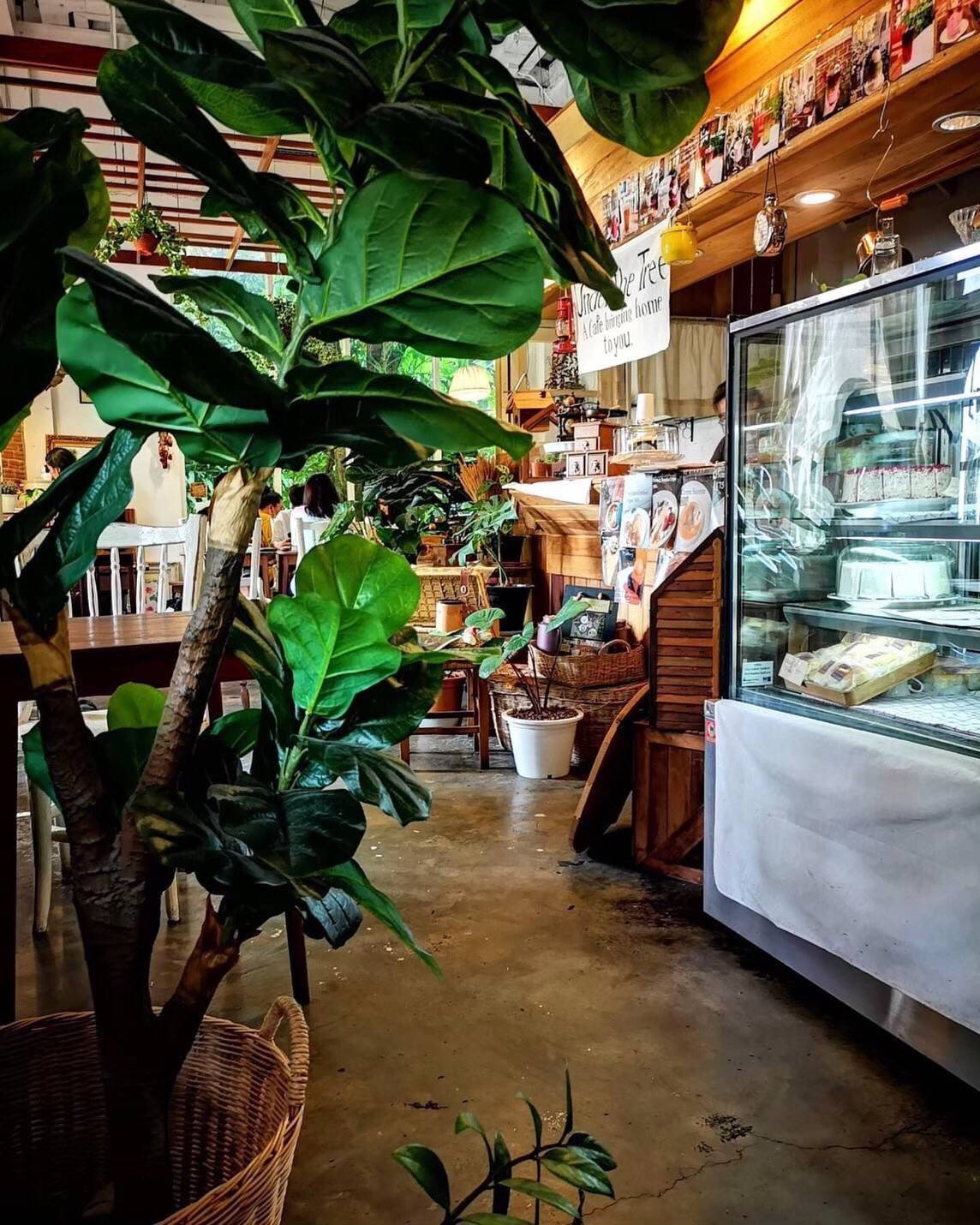 รูป Under The Tree Cafe ขอนแก่น