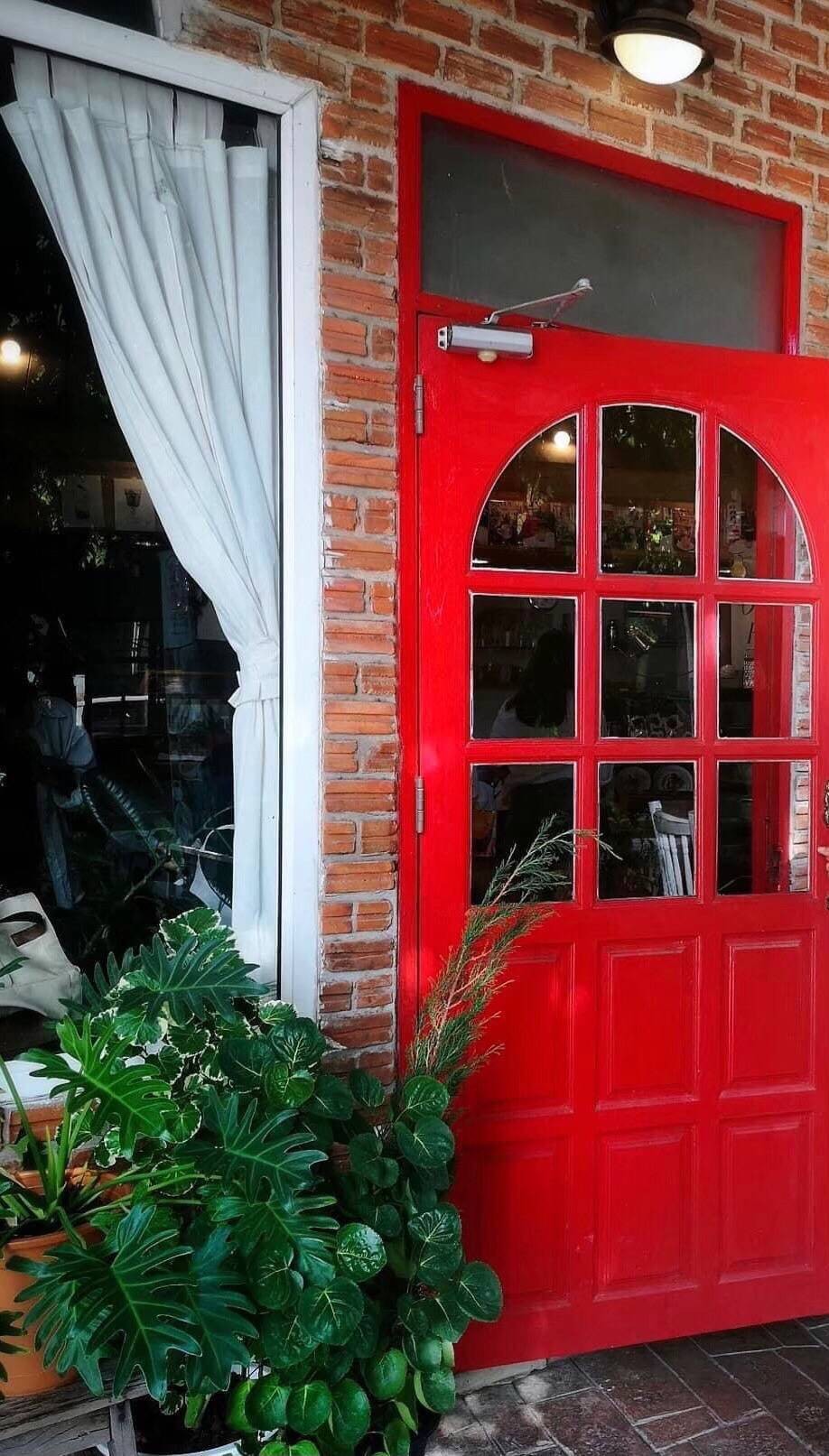 รูป Under The Tree Cafe ขอนแก่น - Wongnai