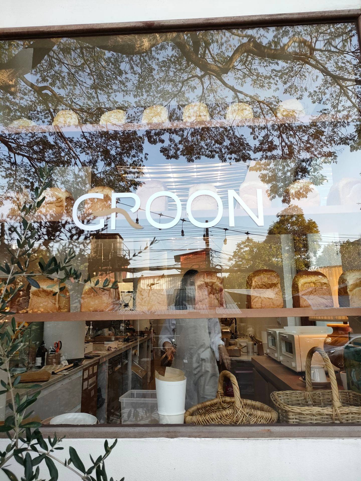 รูป GROON เชียงใหม่