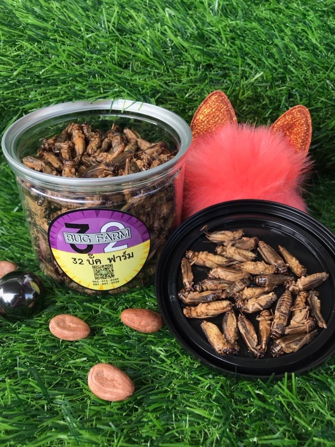 ร้าน 32 bug farm